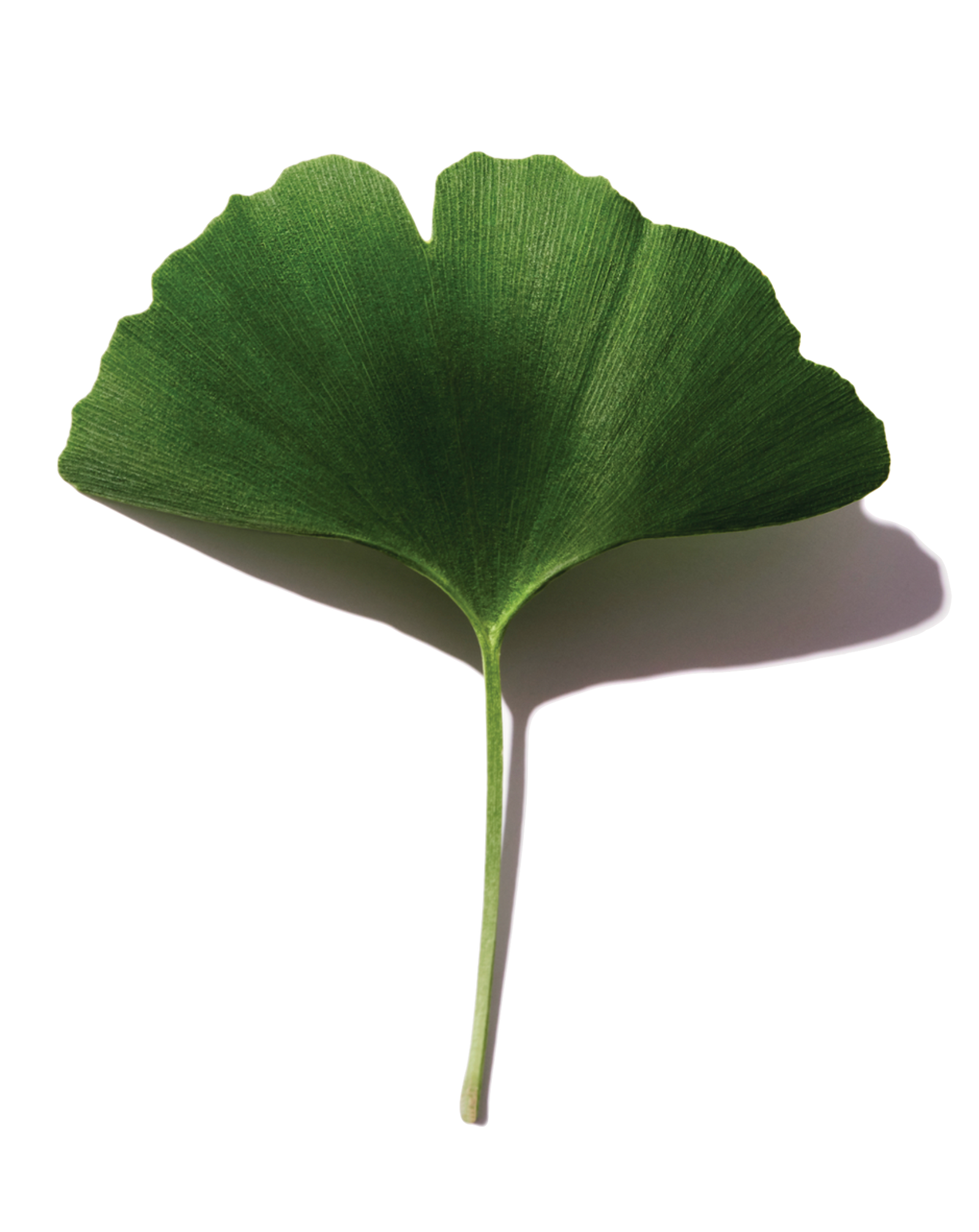 SKINPORTER I Delivering Clinic-Level Results On–The–Go